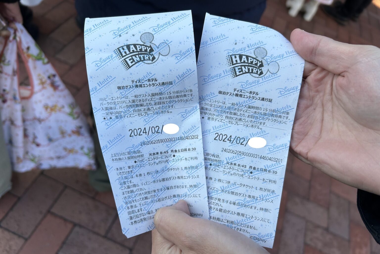 ディズニーランドハッピーエントリー｜並ぶ場所と注意点｜Dオタ 夫婦の毎日感謝